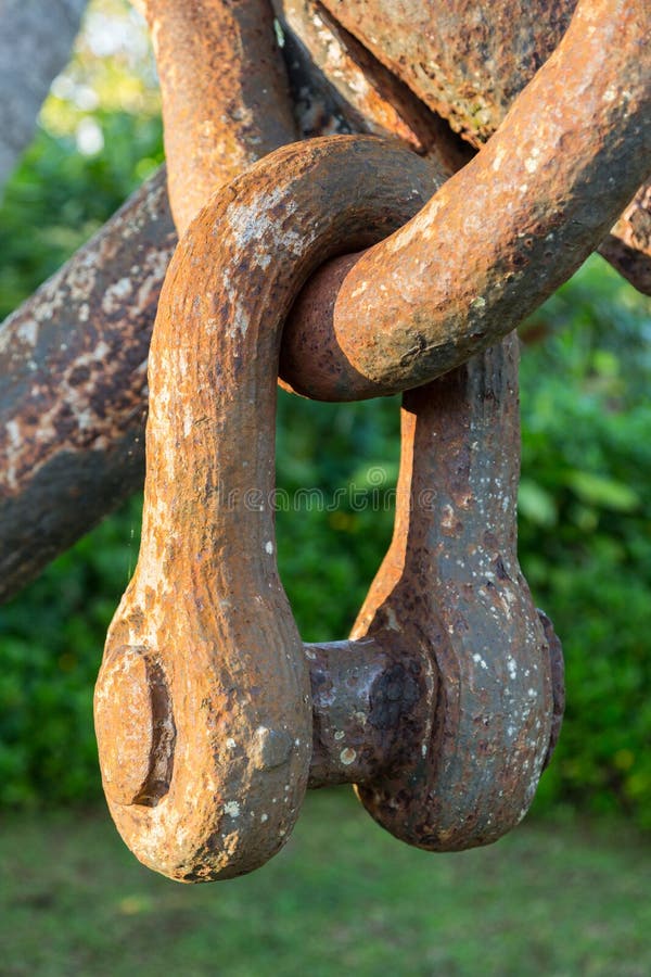 Rusty Chain Links on Large Anchor in Garden Stock Photo - Image of ...