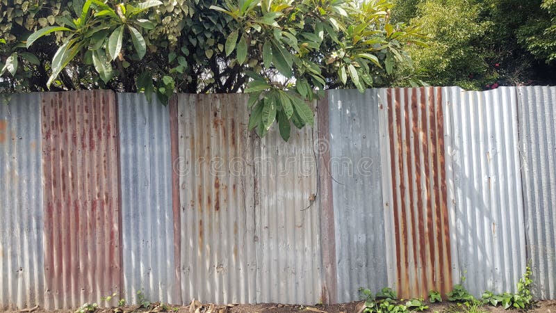 Rusty Corrugated Iron Fence with a Tree Behind it Stock Photo - Image ...