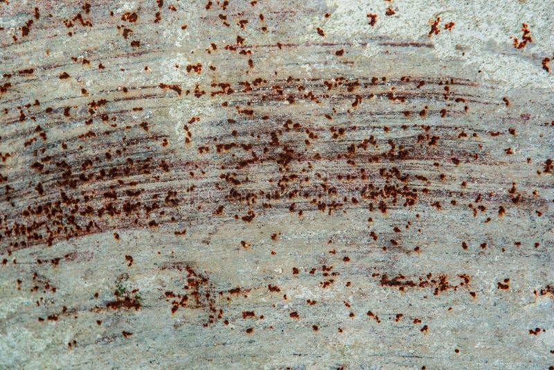 Rusty Dots on a Gray Background Stock Photo - Image of wall, asphalt ...