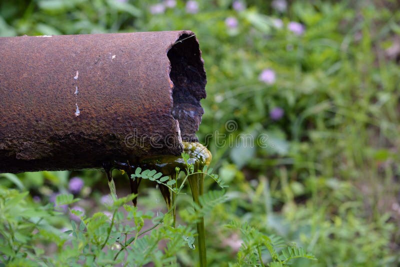 Rusty Drain Pipe with Algae Stock Photo - Image of natural, structure ...