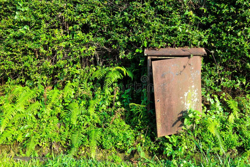 Rusty electronic panel box stock image. Image of forest - 226968003