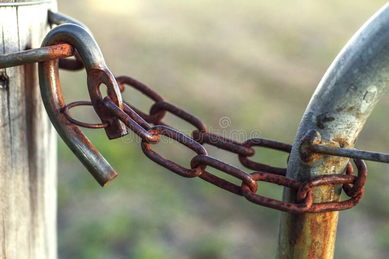 A Rusty Gate Lock at the Cattle Farm Stock Image - Image of escape ...
