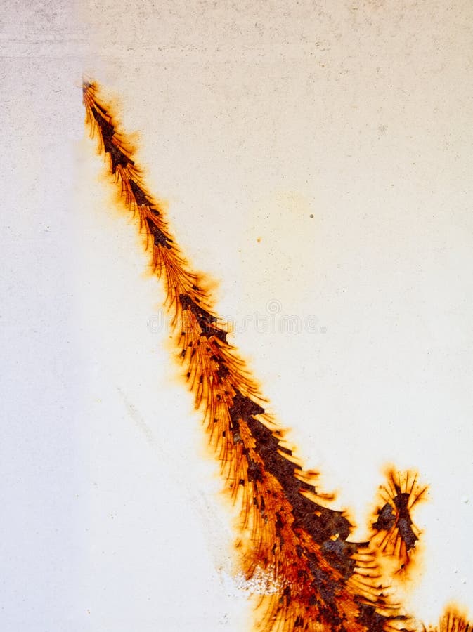 Rusty feathers stock photo. Image of macro, construction - 35901398