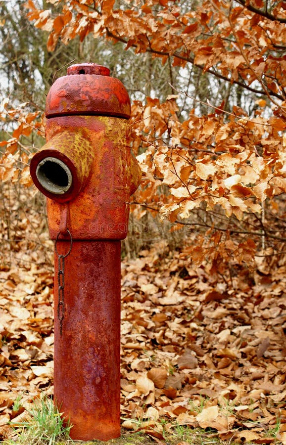 Rusty Fire Hydrant stock photo. Image of focus, chips - 2066472