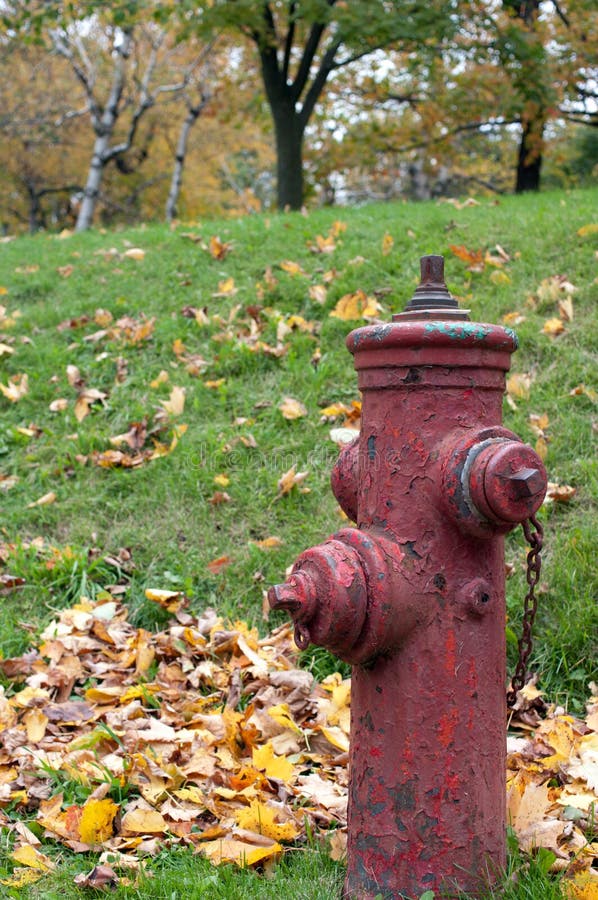 Rusty fire hydrant stock image. Image of trees, safety - 21630343