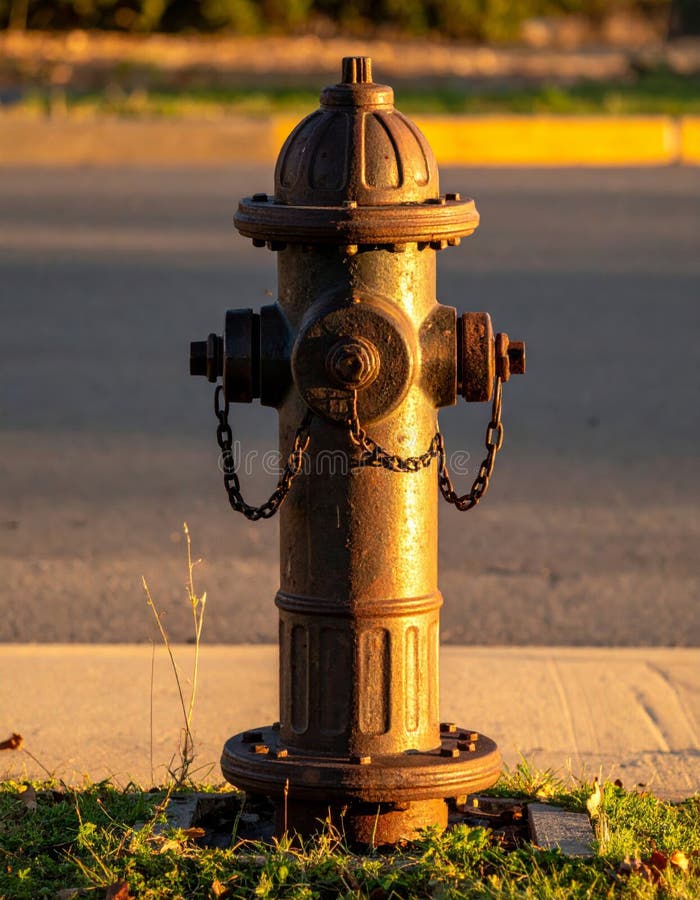 Rusty Fire Hydrant in Golden Hour Sunlight Stock Illustration ...