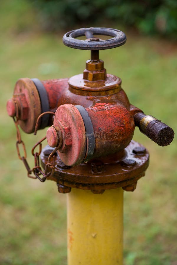Rusty fire hydrant stock image. Image of flower, antique - 78780361
