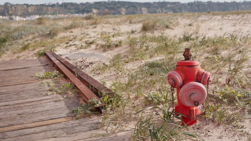 Rusty Fire Hydrant on a Sandy Beach with Wooden Pathway and Vegetation ...