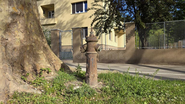 Rusty Fire Hydrant beside Tree in Residential Area Stock Image - Image ...