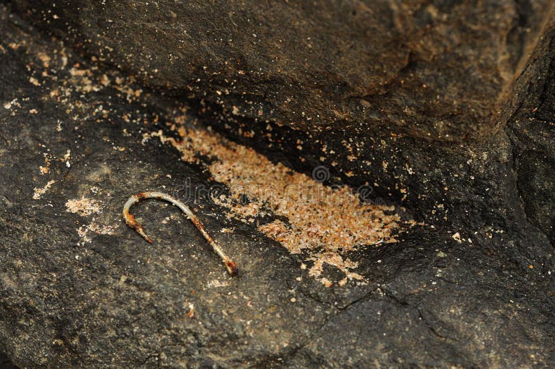 A rusty fish hook stock photo. Image of single, aged - 102856606