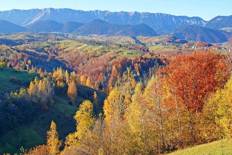 Rusty Forest on Mountain Top Stock Photo - Image of leaf, natural: 16660654