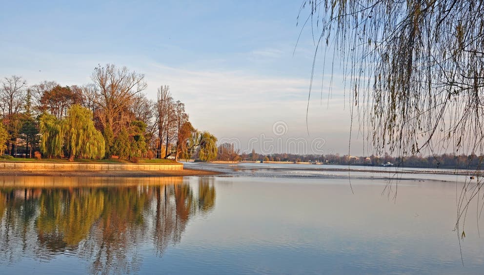 Rusty Forest Near Still Lake Stock Photo - Image of attraction, morning ...