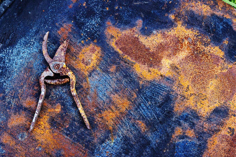 Rusty Pruner on the Rusty Metal Sheet Stock Image - Image of plate ...