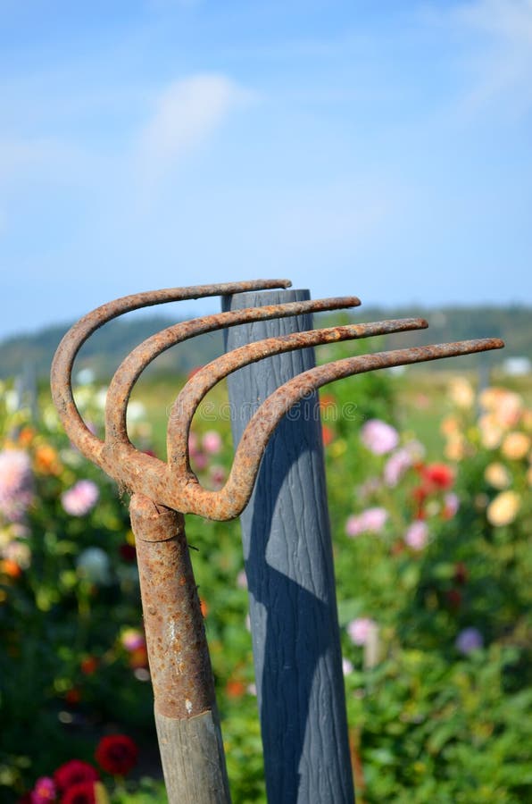 Rusty Hay Rake Forgotten in the Finnish Forest. Old Horse Drawn Farming ...