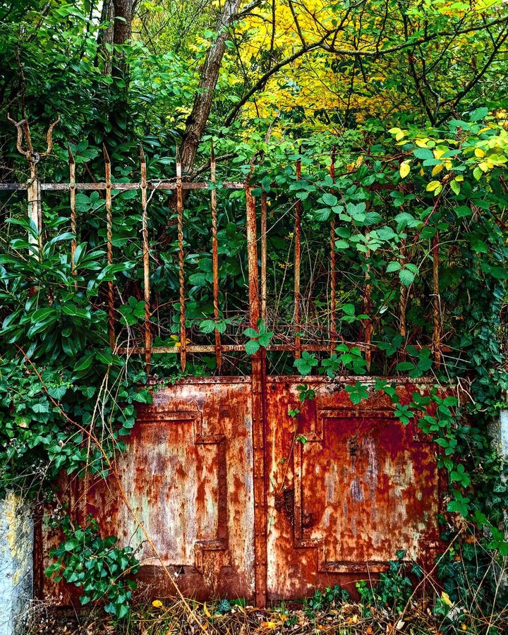 Rusty gate in the garden stock image. Image of wood - 200639171