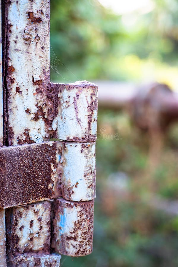 A Rusty Gate with a Spider Web on it Stock Image - Image of tree ...