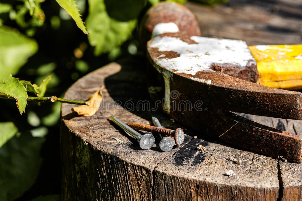 Rusty Hammer and Nails on Wooden Stump. Rusty Hand Tools and Nails on a ...