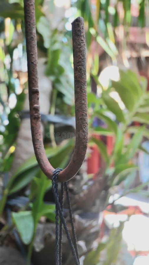 Rusty Hanger. stock image. Image of macro, flower, tree - 227037863