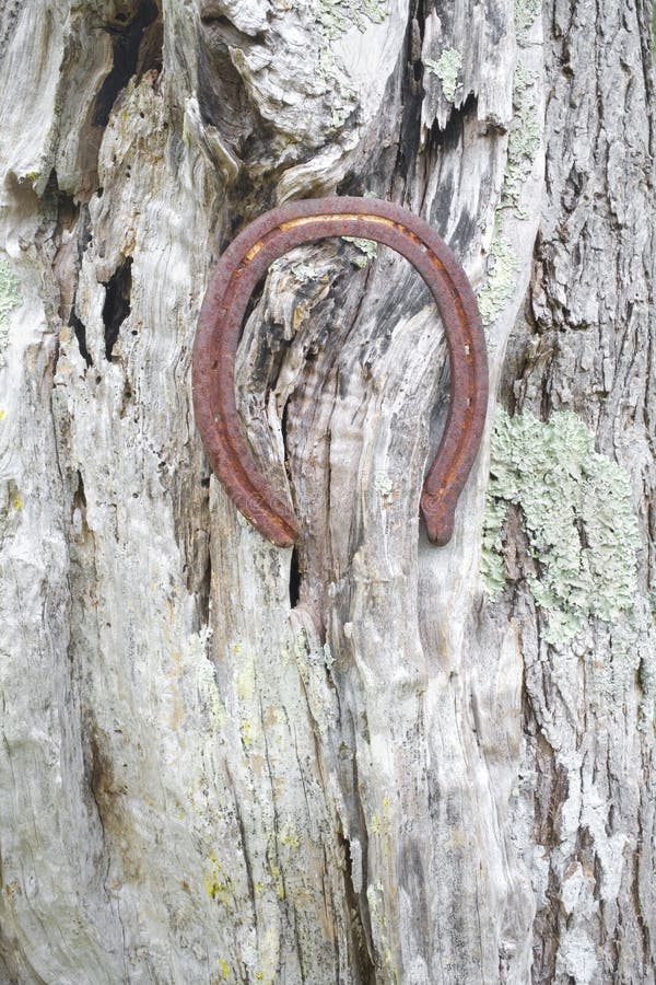 Rusty hoese shoe stock image. Image of closeup, clover - 54886291