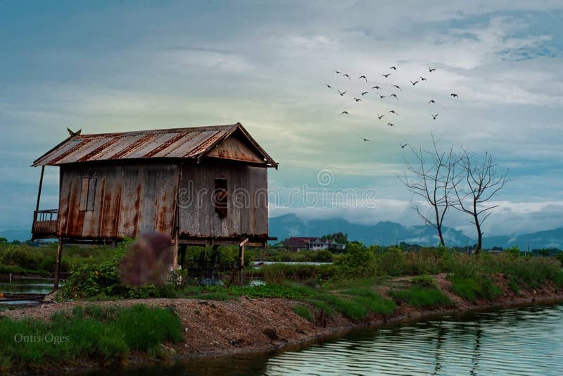 Rusty hut between ponds stock image. Image of rusty - 262818915