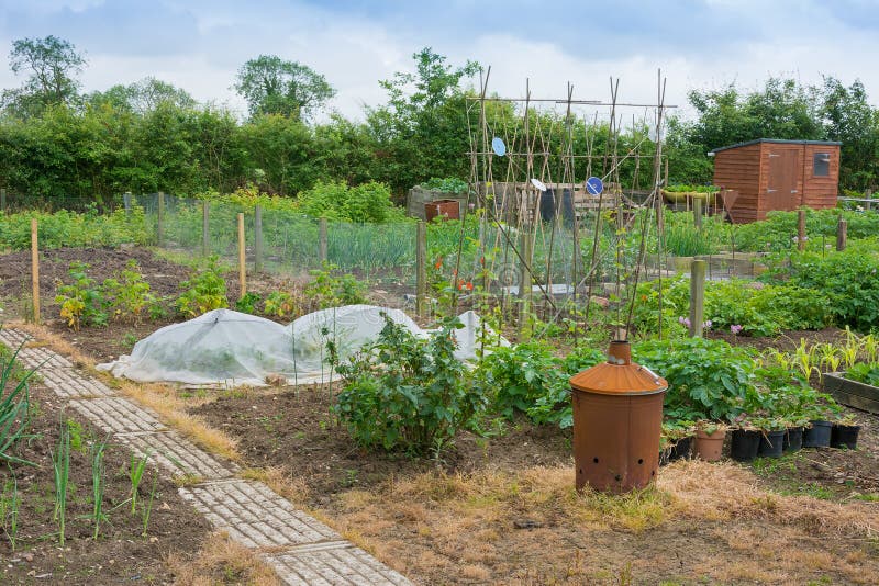 Rusty Incinerator on an Allotment Stock Photo - Image of fleece ...