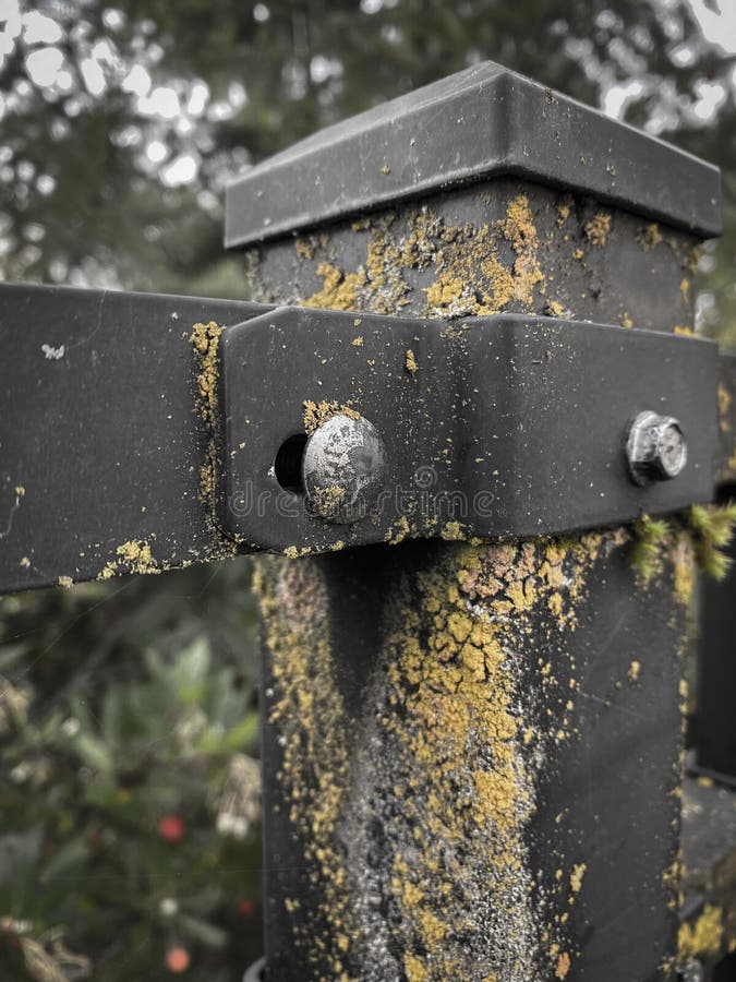 Rusty iron fence stock image. Image of closeup, deep - 206150433