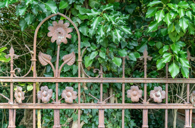 Rusty iron fence stock image. Image of yard, summer - 109624703