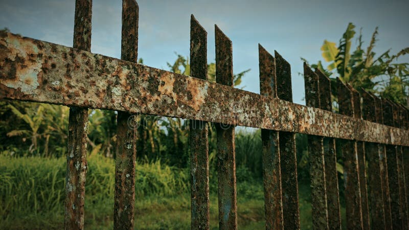 Rusty Iron Fences and Green Gardens Stock Image - Image of iron, wood ...