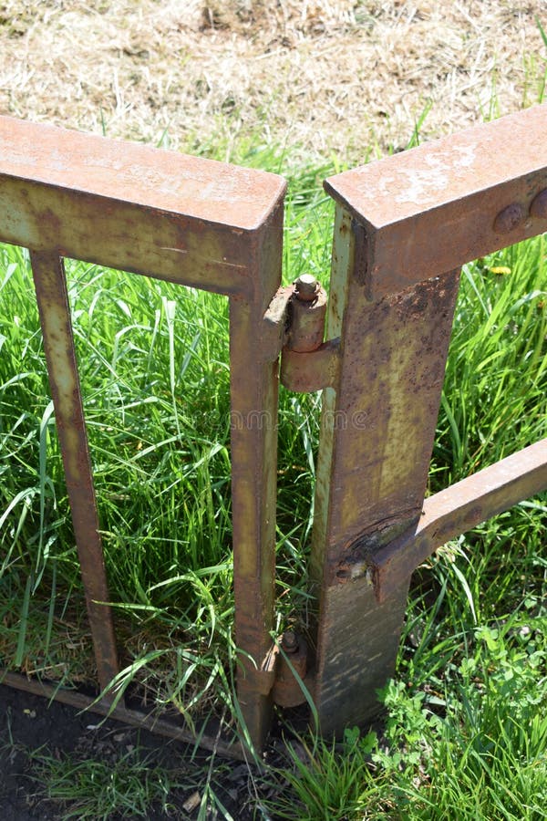 Rusty gate stock photo. Image of soil, backyard, tree - 246434902