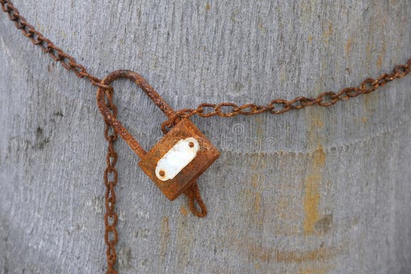 Rusty Iron Key Locked on the Coconut Tree Stock Photo - Image of chain ...