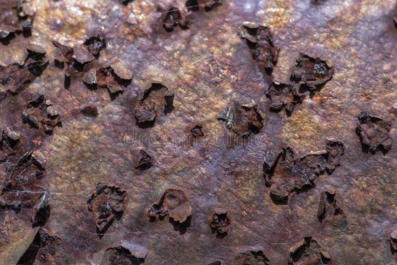 Rusty iron 2 stock photo. Image of rusty, iron, creative - 92152780