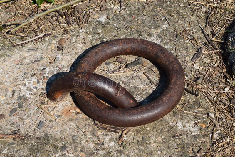 Rusty iron ring stock photo. Image of metal, reptile - 356663420