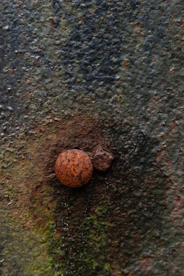 Rusty Iron Work stock image. Image of ruins, dilapidated - 64991859