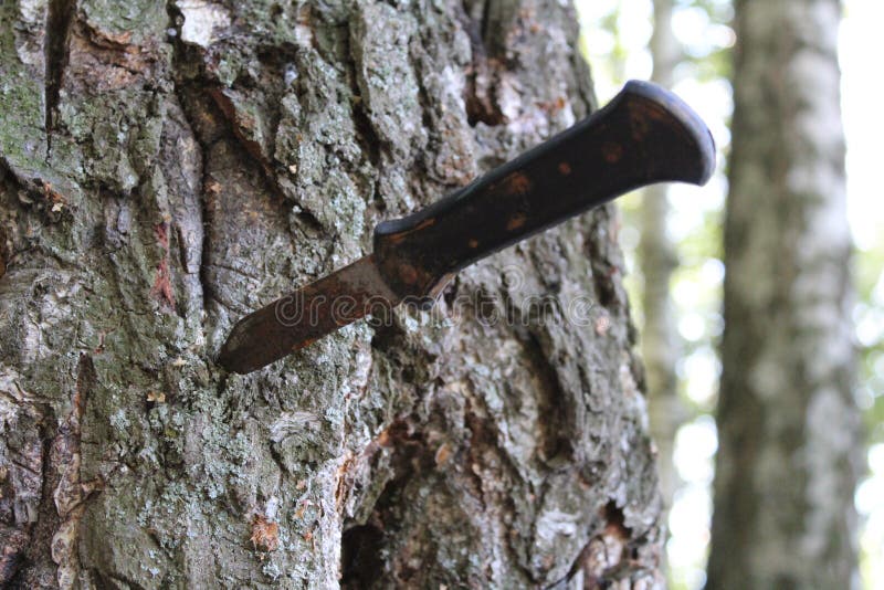 The Rusty Knife in the Trunk of a Tree Stock Image - Image of rusty ...