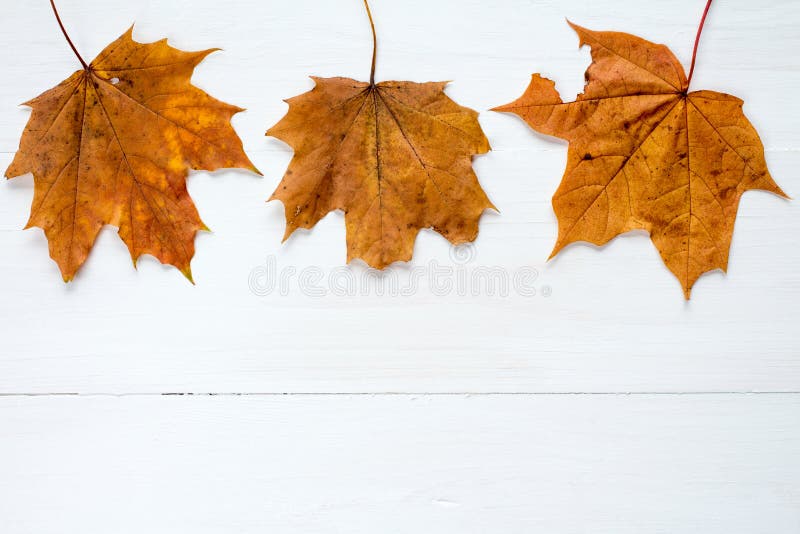 Rusty Leaves Over Wooden Background with Copy Space Stock Photo - Image ...