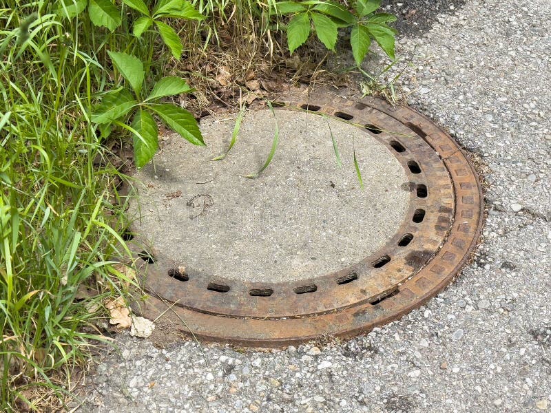 Rusty Manhole Cover on Sidewalk with Grass and Green Foliage ...