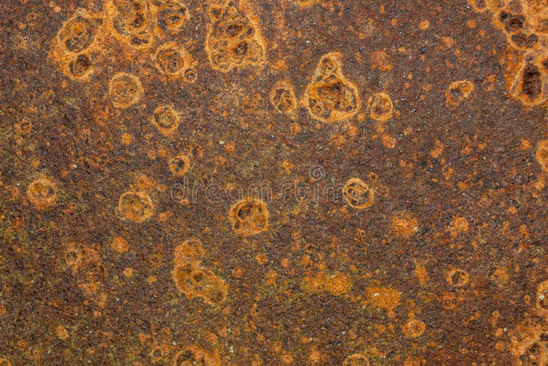 379 Decay Theme Stock Photos - Free & Royalty-Free Stock Photos from ...