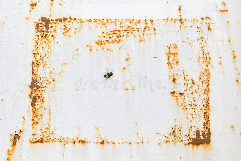 228 Crawling Paint Photos - Free & Royalty-Free Stock Photos from ...