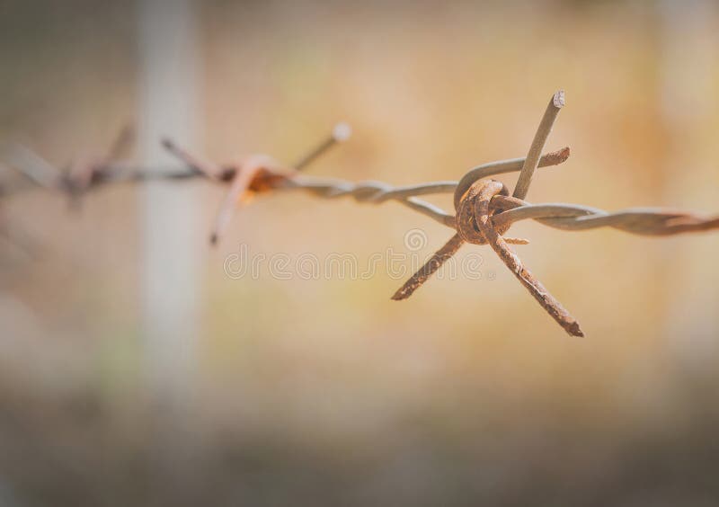 Fence with Sharp Steel Bars Stock Photo - Image of property, guard ...