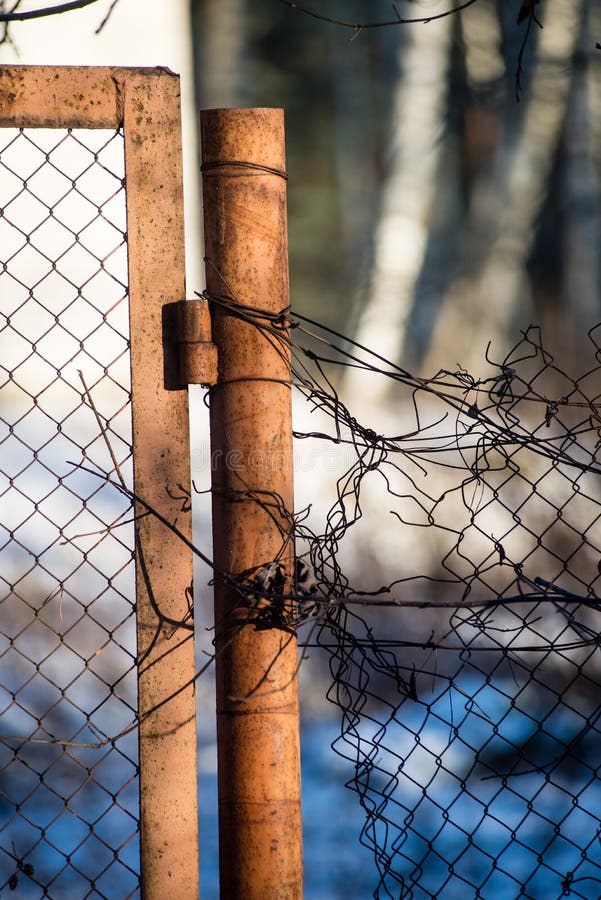 Rusty Metal Objects in Field Stock Image - Image of grey, border: 75485111