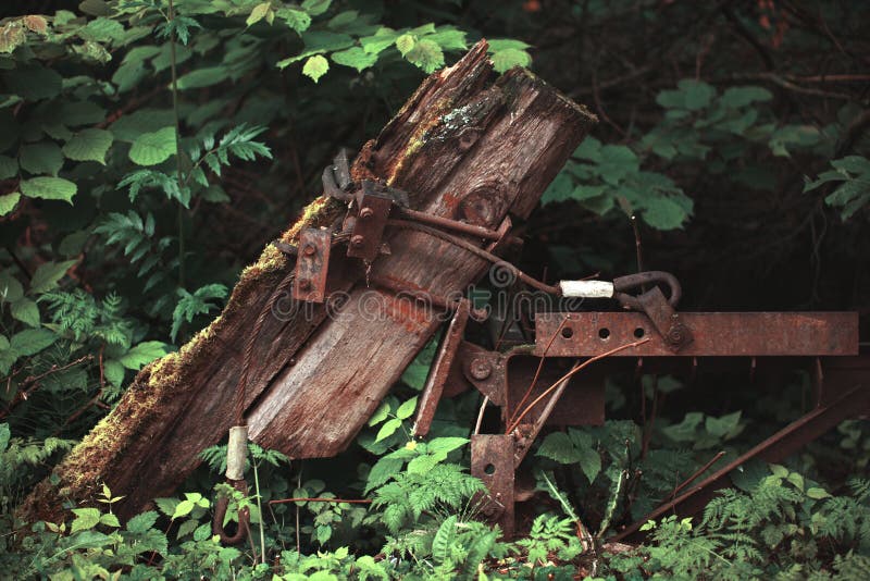Rusty Metal Objects, Frames, Cables Stock Image - Image of fern ...