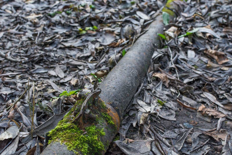 Rusty Metal Pipe in the Forest Closeup Stock Image - Image of moss ...