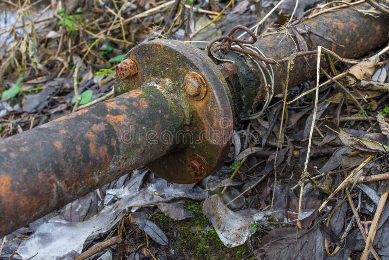 Rusty Metal Pipe in the Forest Closeup Stock Image - Image of pile ...