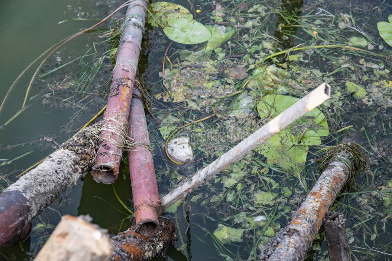 Rusty Pipes in Polluted Water Stock Image - Image of pipes, drainage ...