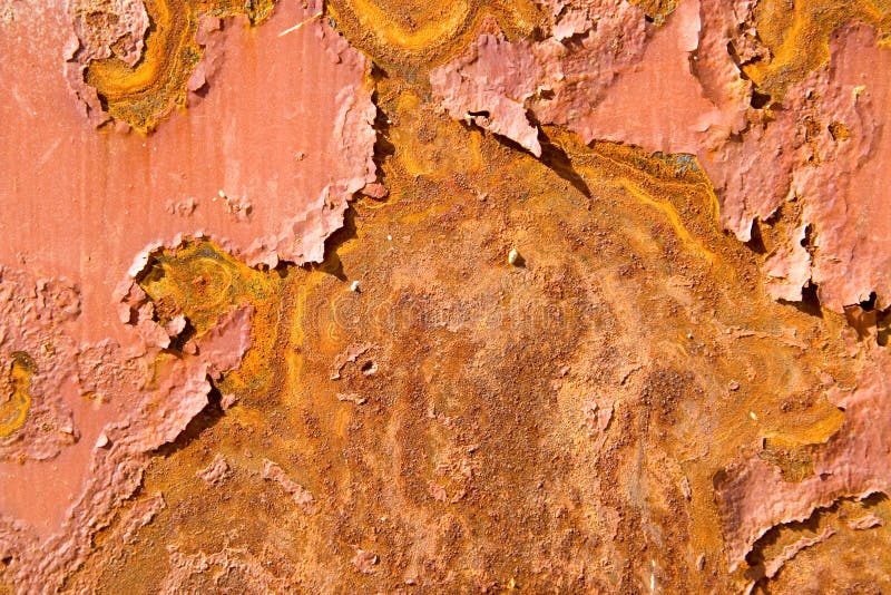 African Acacia tree stock photo. Image of painted, plant - 698172