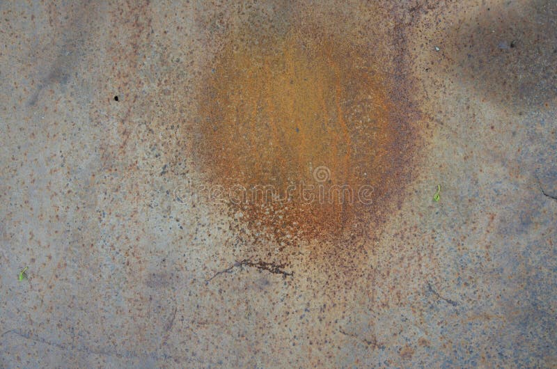 Prominent Central Rust Patch Stock Photos - Free & Royalty-Free Stock ...