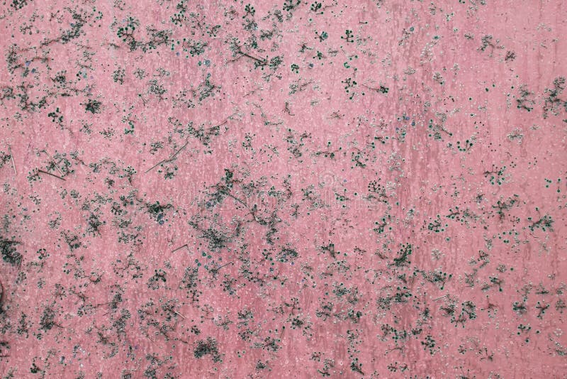 Rusty Metal Textured Surface Pink Color with Weathered Floral Pattern ...