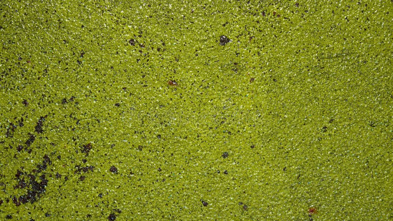 Rusty Metallic Green Paint Texture.Old Green Rusty Background. Stock ...