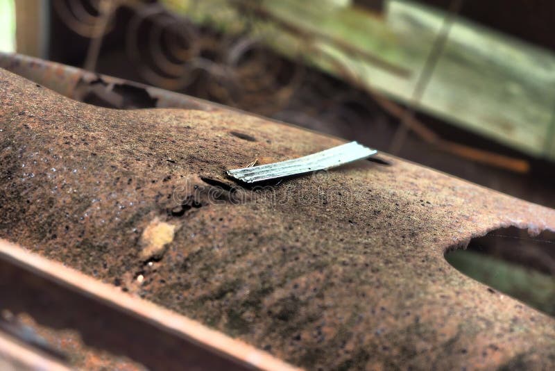 Rusty Metallic Objects in the Forest Captured Duting the Daytime Stock ...