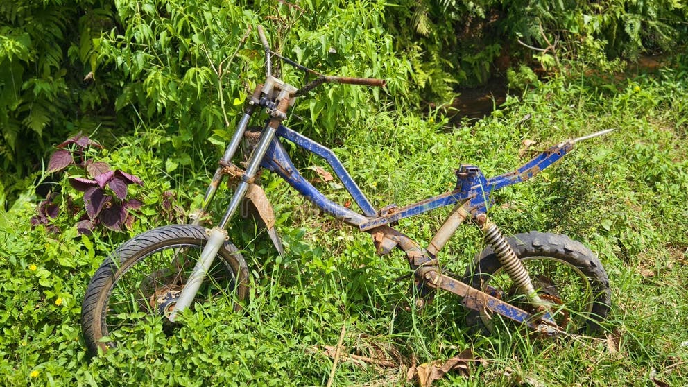 Rusty Motorcycle Frame Abandoned in Overgrown Greenery Stock Photo ...